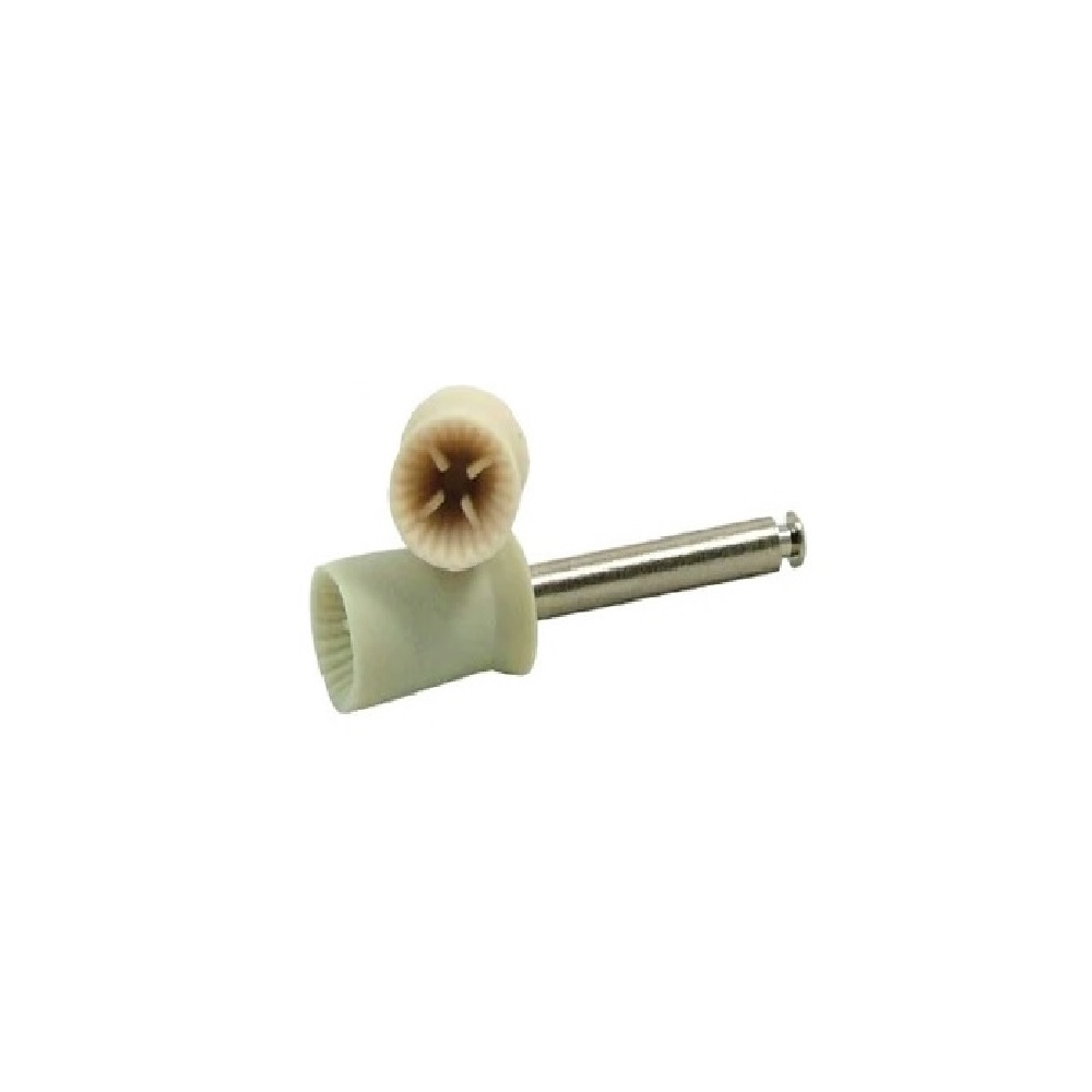 Prophy Cups Latch Type | MEGA Dental