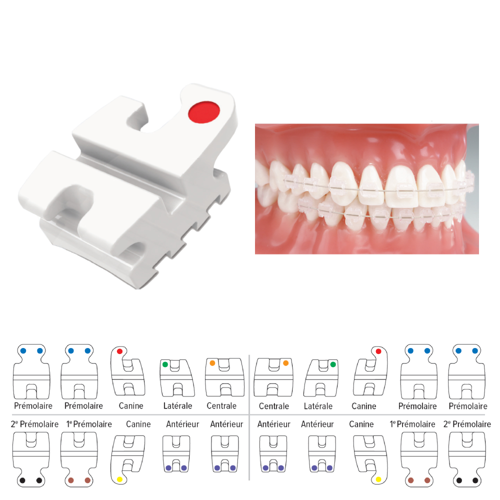 Bracket Pure MBT 3X3 3 Crochet 022 Kit OT | Matériel Dentaire | MEGA Dental
